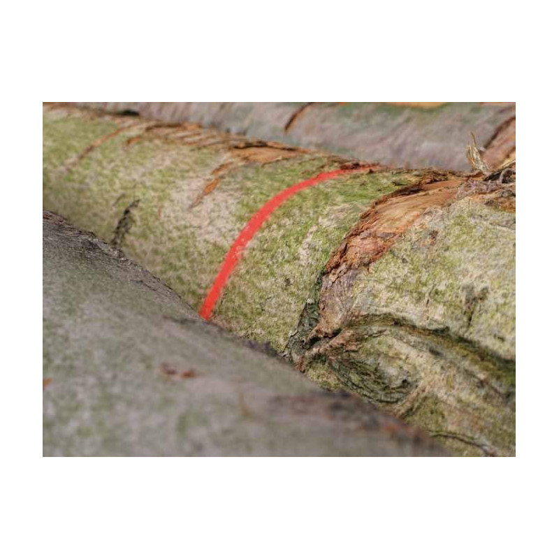 FLUO MARKER tree marking spray paint - SOPPEC | Technima