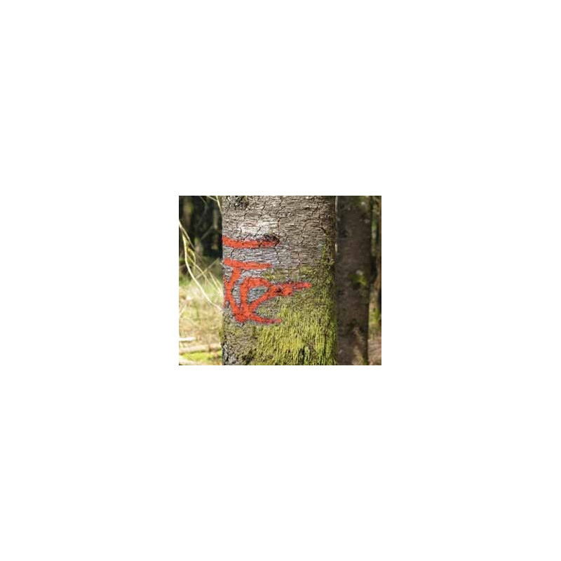 STRONG MARKER Tree Marking Spray Paint - SOPPEC | Technima