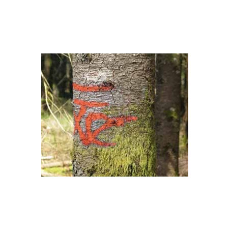 STRONG MARKER Tree Marking Spray Paint - SOPPEC | Technima
