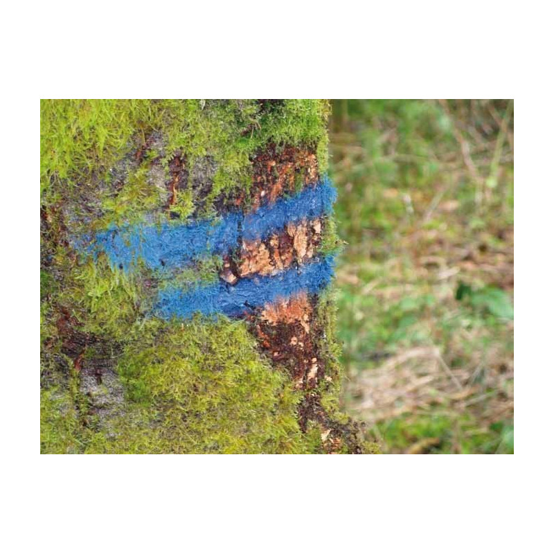 STRONG MARKER Tree Marking Spray Paint - SOPPEC | Technima