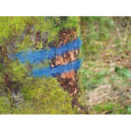 STRONG MARKER Tree Marking Spray Paint - SOPPEC | Technima