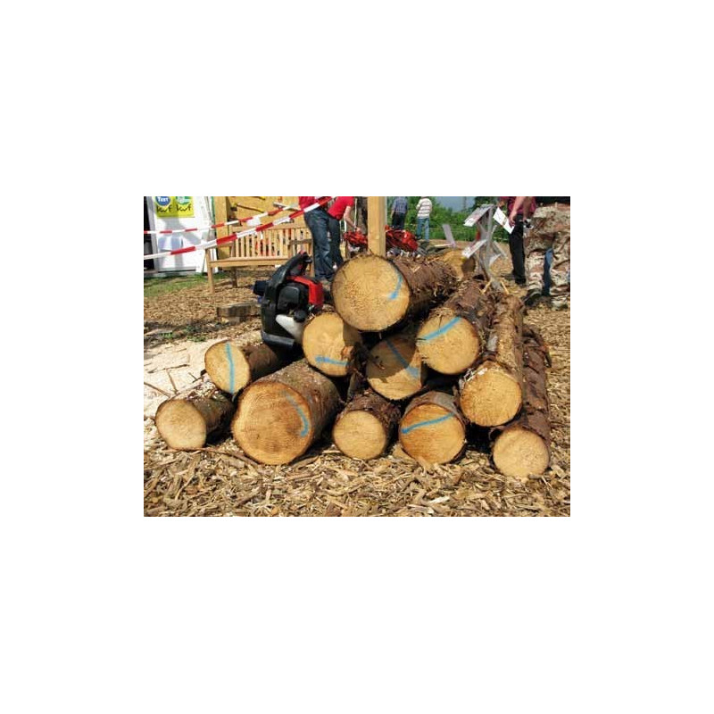 STANDARD MARKER Tree Marking Spray Paint - SOPPEC | Technima