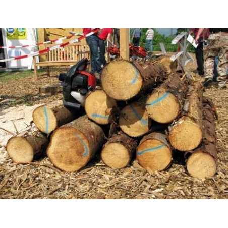 STANDARD MARKER Tree Marking Spray Paint - SOPPEC | Technima