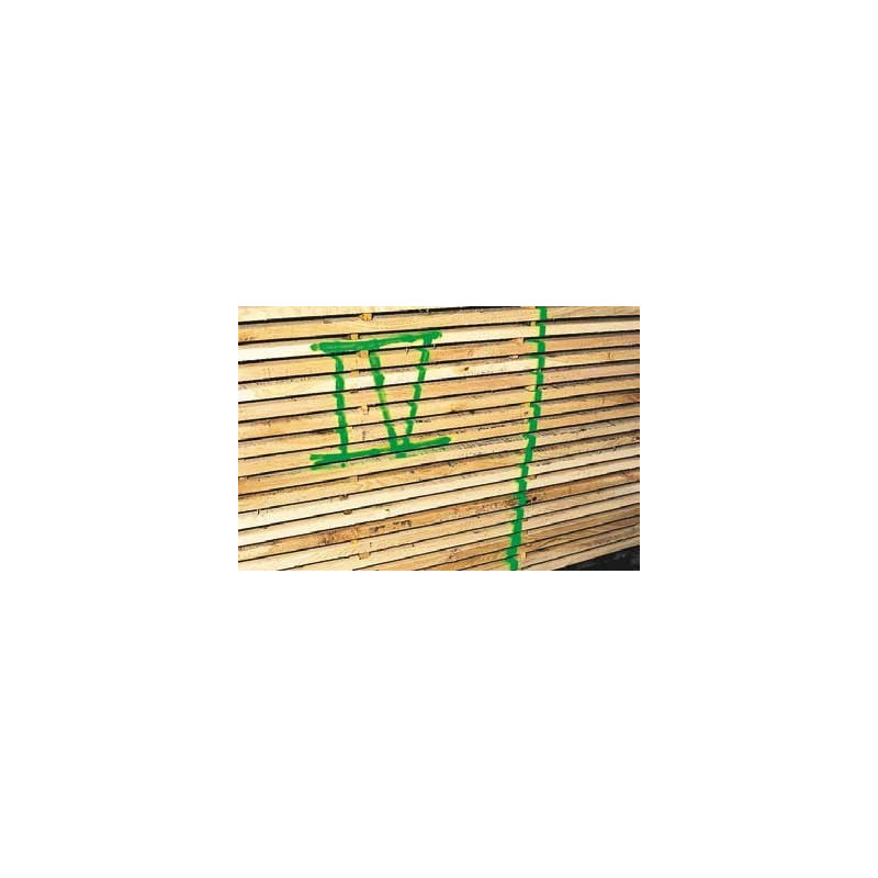 STANDARD MARKER Tree Marking Spray Paint - SOPPEC | Technima