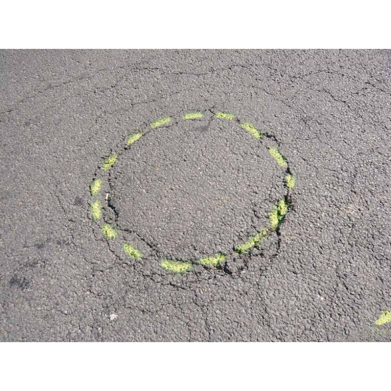 TEMPO TP Temporary Marking Spray Paint - SOPPEC | Technima